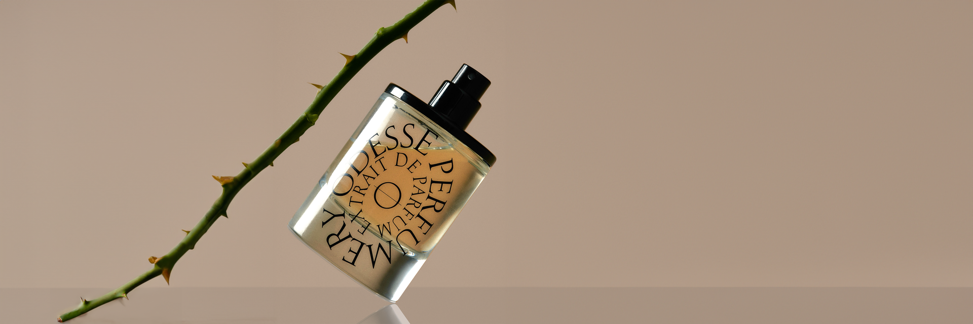 Best Sellers – odesse