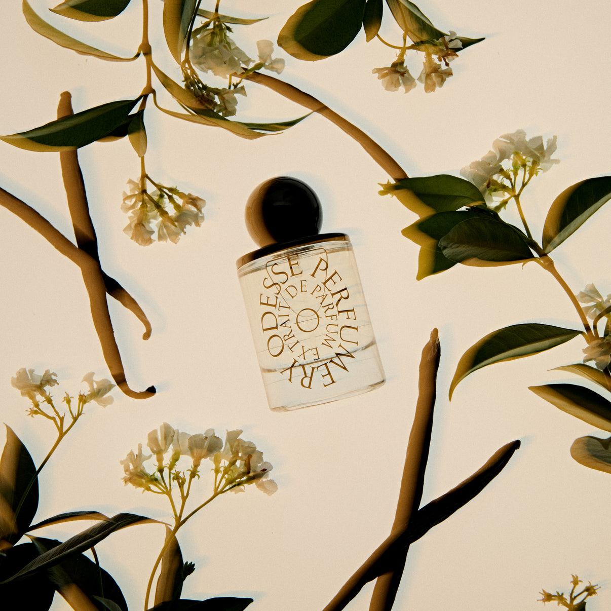 Vanilla Vanilla Extrait de Parfum – odesse