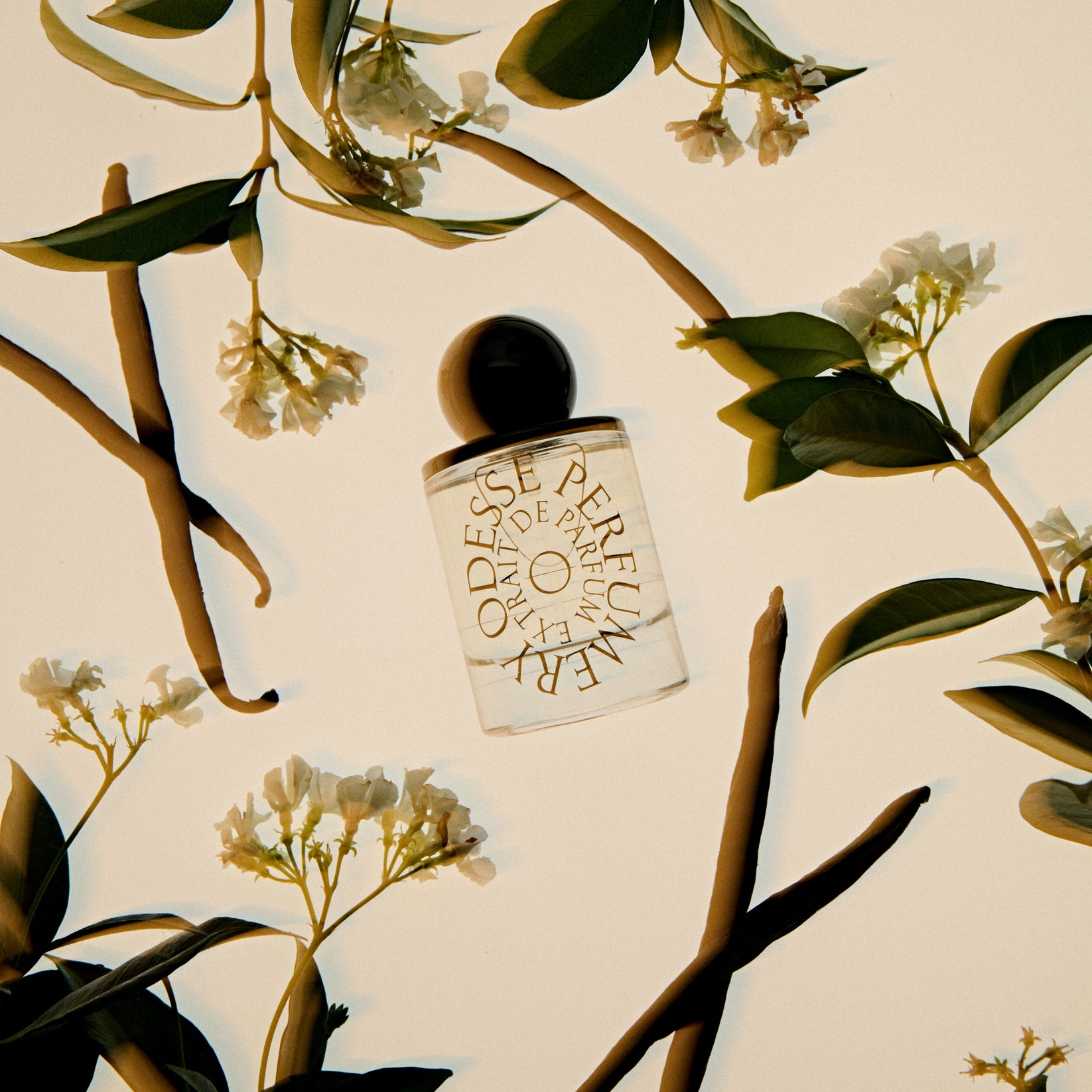 Vanilla Vanilla Extrait de Parfum – odesse